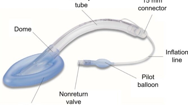 Laryngeal Mask-3 Types of Laryngeal Mask-Laryngeal Mask Applications